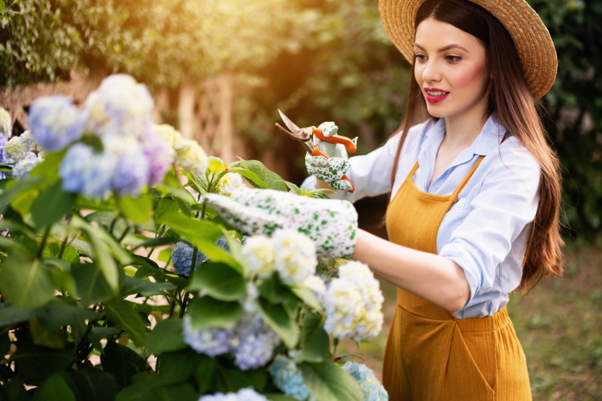 How to Grow a Cut Flower Garden at Home - Bob Vila