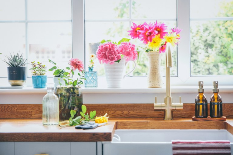 How to Grow a Cut Flower Garden at Home - Bob Vila