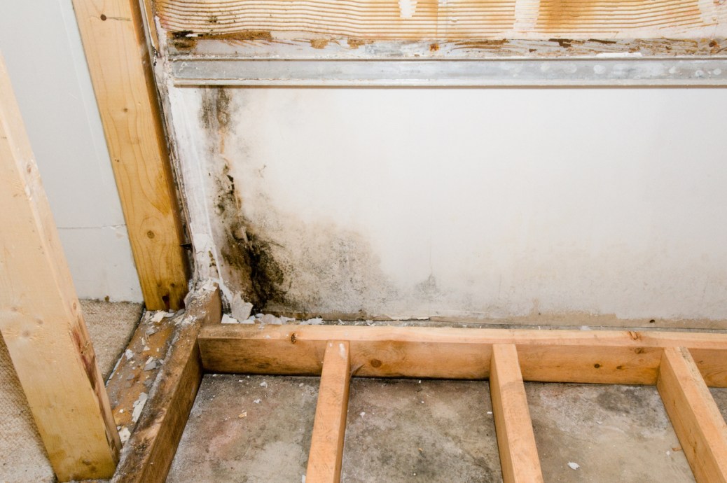 A Guide to Insulating Basement Walls