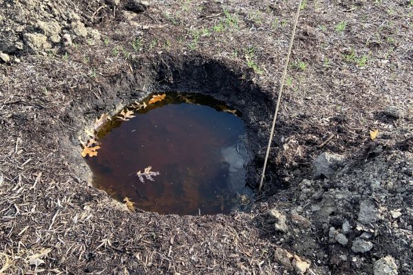 How Much Does a Perc Test Cost? A Budgeting Guide - Bob Vila