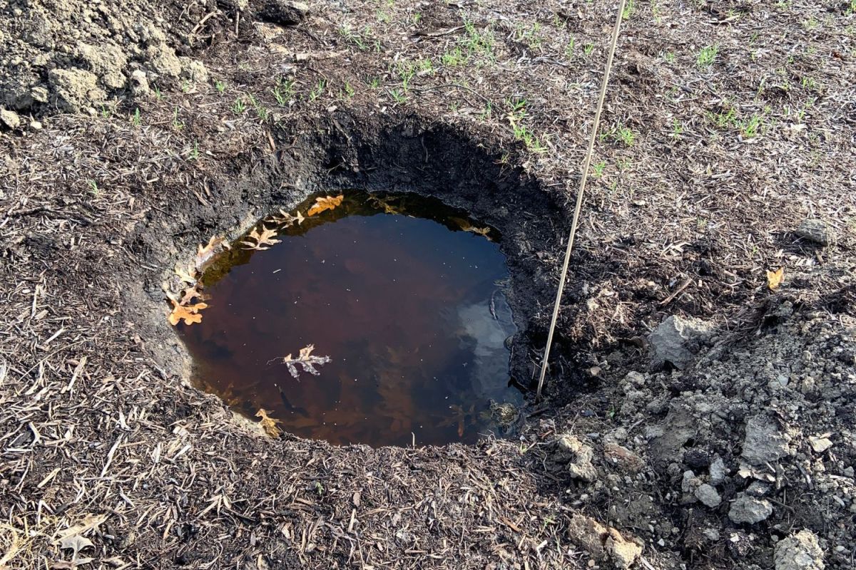 How Much Does a Perc Test Cost? A Budgeting Guide - Bob Vila