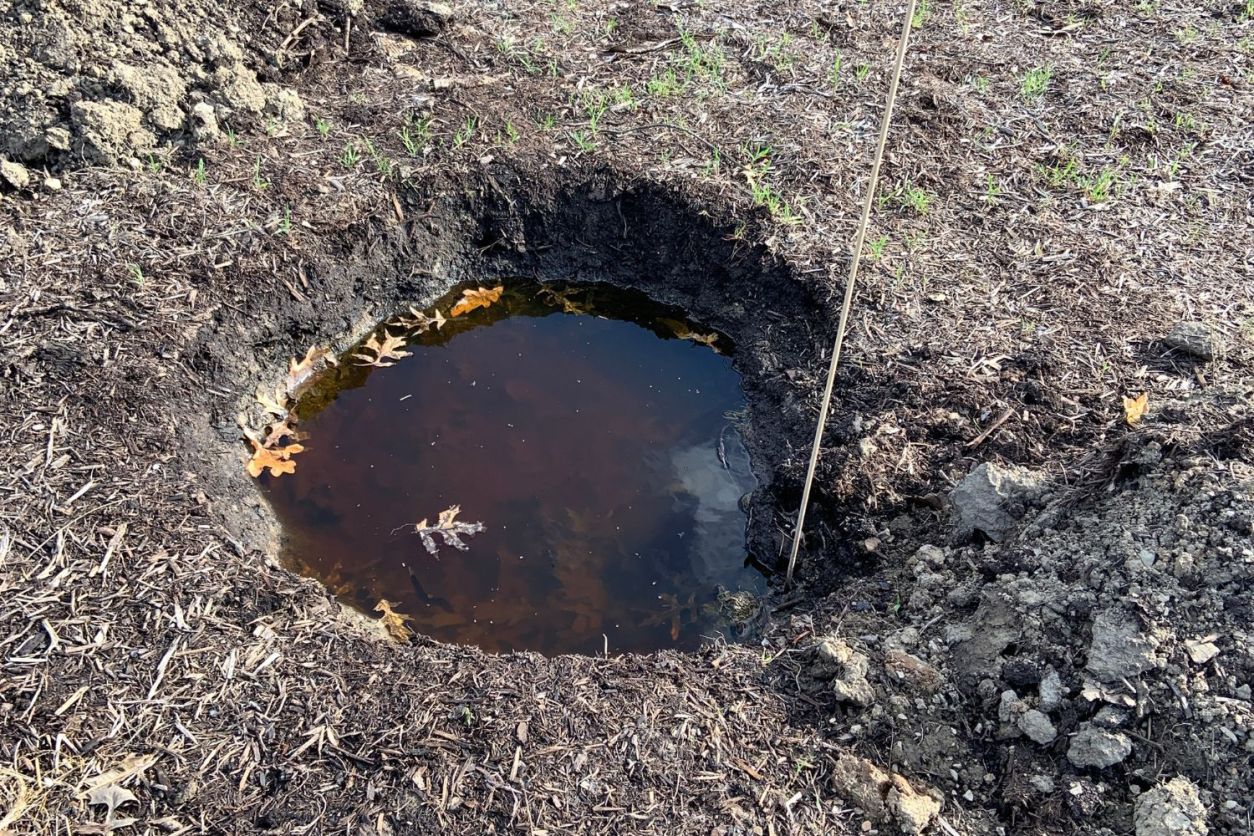 How Much Does a Perc Test Cost? A Budgeting Guide - Bob Vila