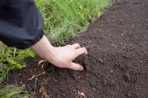 What Is a Perc Test? - Bob Vila