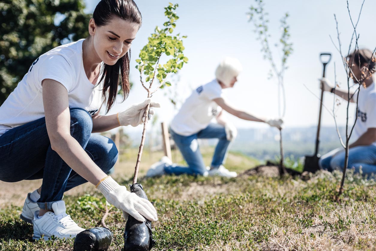 The Best Memorial Tree-Planting Services in America - Picks by Bob Vila