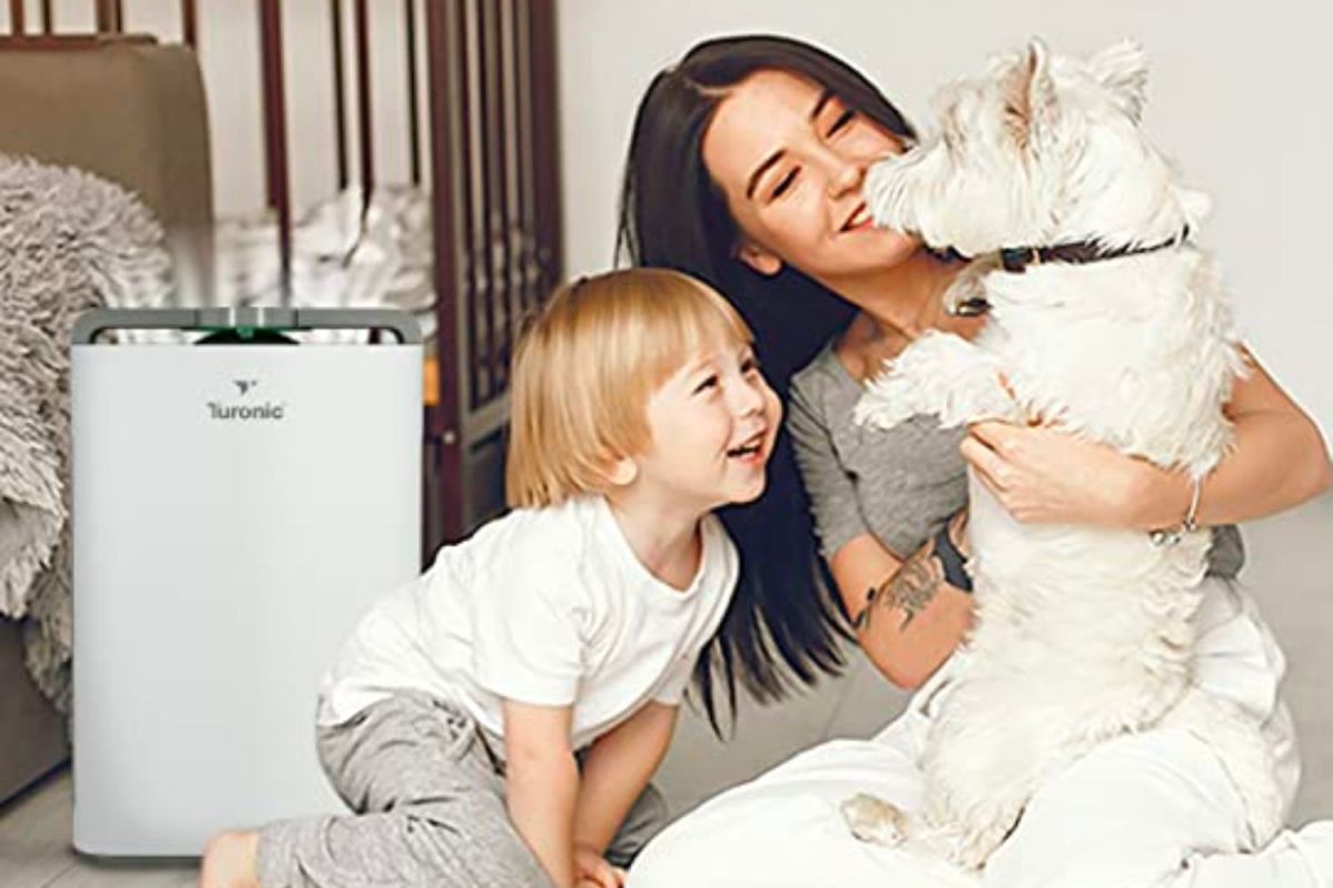 The Best Air Humidifiers and Purifiers of 2025 - Picks from Bob Vila