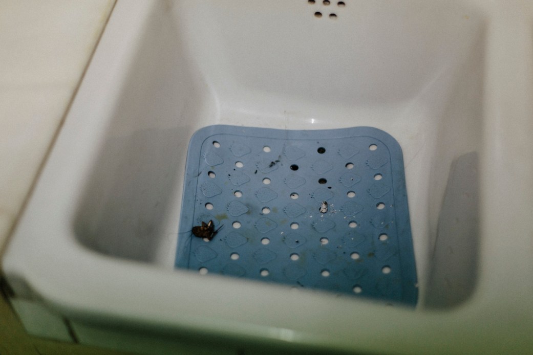 Solved! What Are Those Tiny Black Bugs in the Bathroom? - Bob Vila