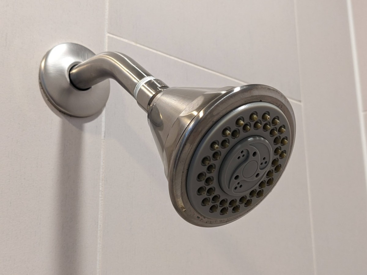 I Used This Hack to Clean My Shower Head and Here's What Happened - Bob ...