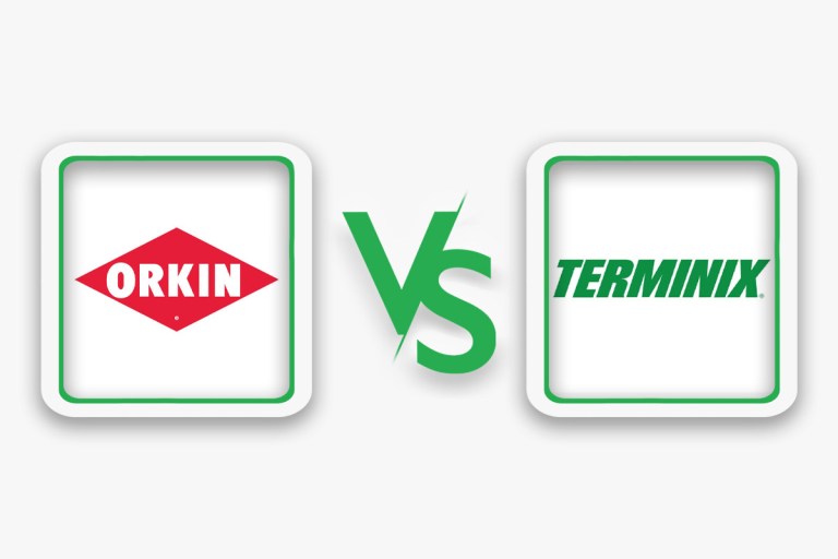 Orkin vs. Terminix: Which Pest Control Company Should You Choose?