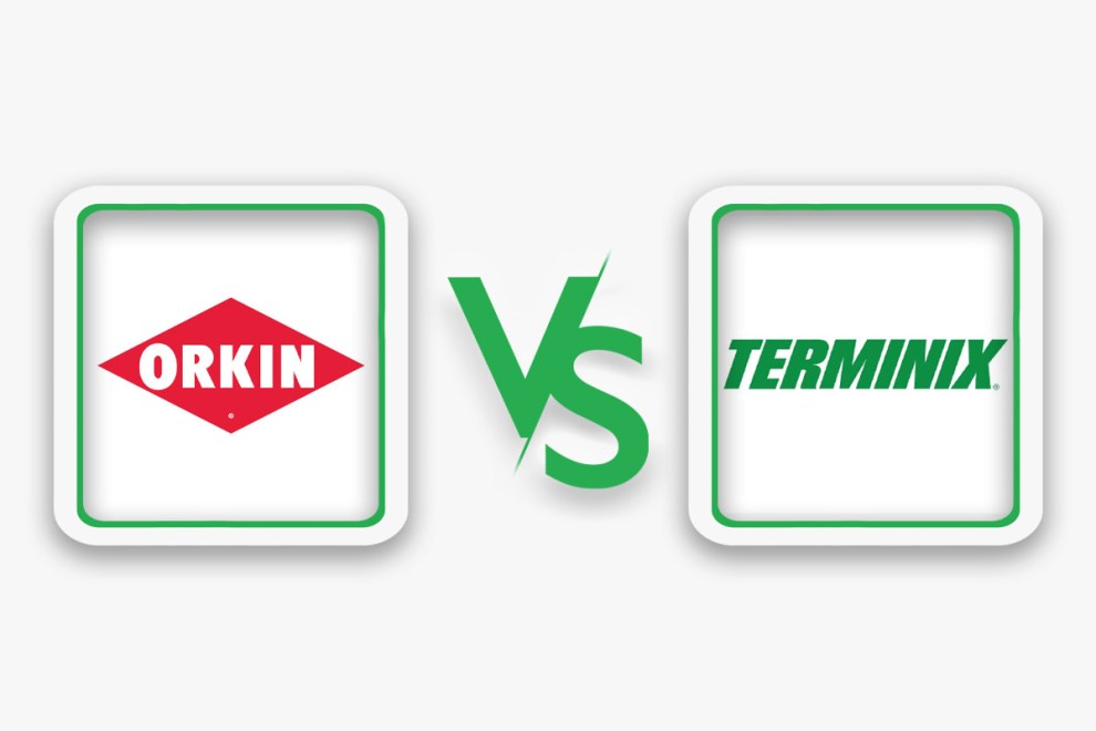 Orkin vs. Terminix: Which Pest Control Company Should You Choose?