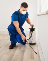 Orkin vs. Terminix: Which Pest Control Company Should You Choose in ...