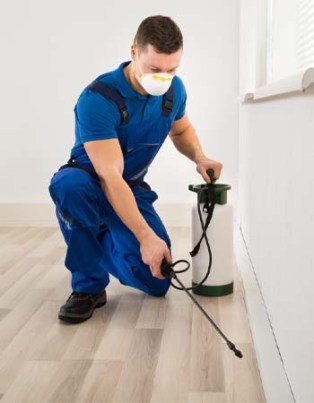 Orkin vs. Terminix: Which Pest Control Company Should You Choose in ...