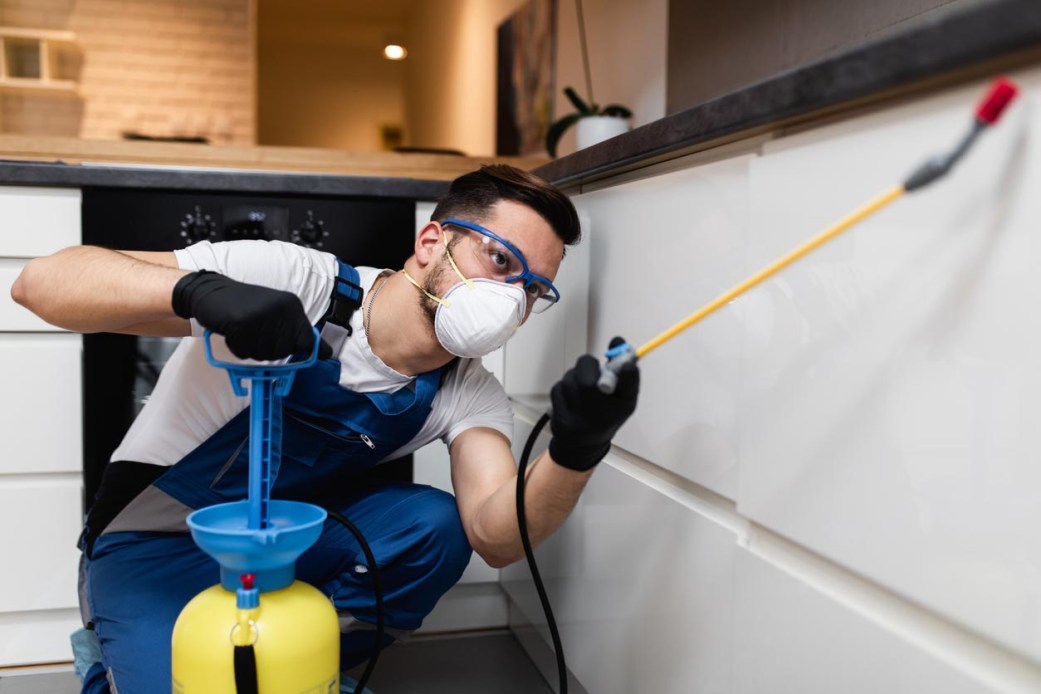 Orkin vs. Terminix: Which Pest Control Company Should You Choose?