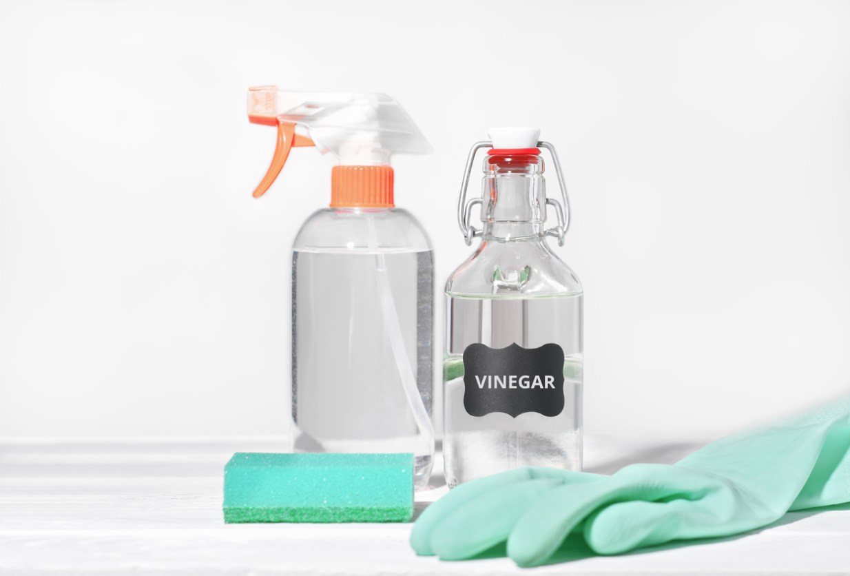 The Best Vinegar for Cleaning: 7 Types of Vinegar You Should Know - Bob ...