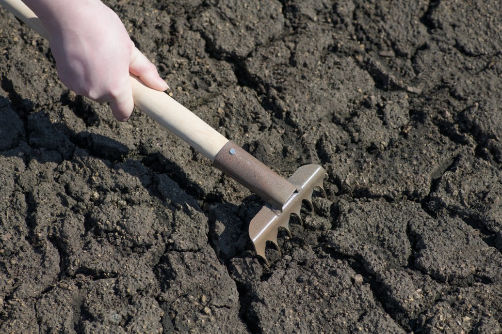 7 Reasons to Love Earthworms—and How to Attract More to Your Garden ...