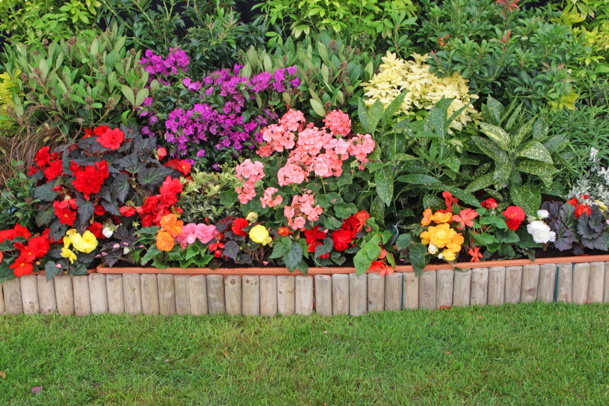 Edge Your Beds: 12 Easy Ideas for Landscape Borders - Bob Vila