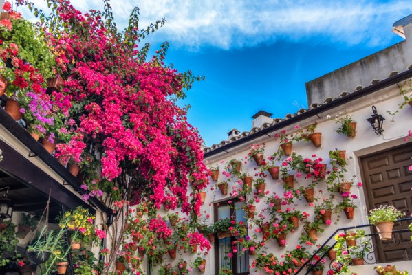 What Is a Pocket Garden and How Can I Make One? - Bob Vila