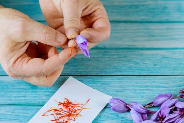 How to Grow Saffron at Home - Bob Vila