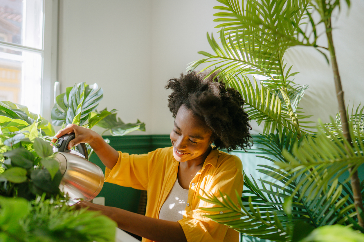 Try These 5 Simple Steps to Bring Your Overwintered Patio Plants Back ...