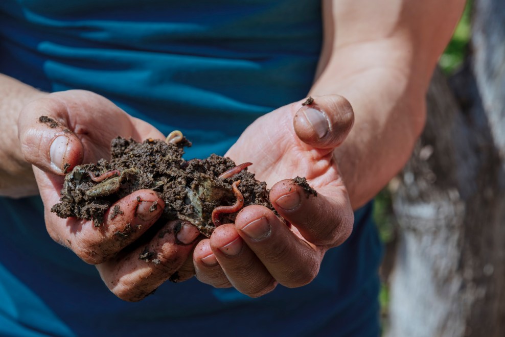 7 Reasons to Love Earthworms—and How to Attract More to Your Garden ...
