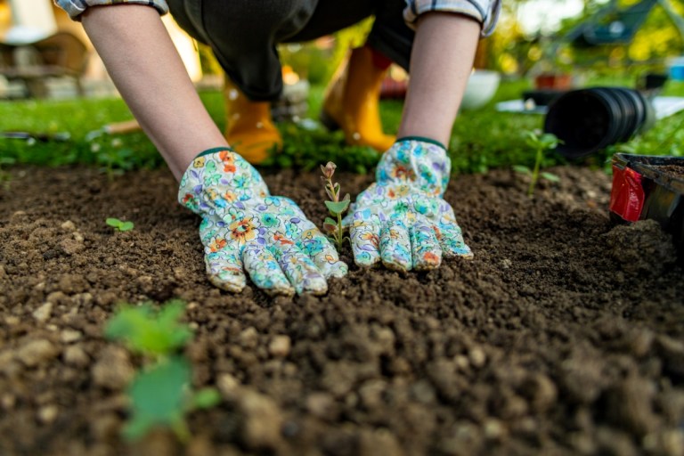 10 Ways to Till a Garden Without a Tiller