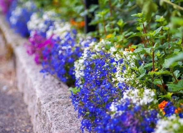 Edge Your Beds: 12 Easy Ideas for Landscape Borders - Bob Vila