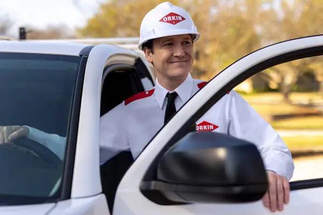 Orkin Review (2023): Everything to Know Before You Hire - Bob Vila