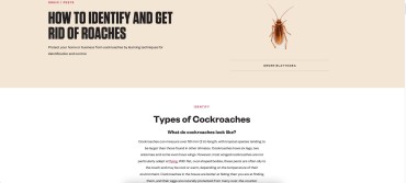 Orkin Review (2023): Everything to Know Before You Hire - Bob Vila