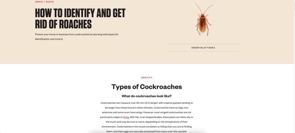 Orkin Review (2023): Everything to Know Before You Hire - Bob Vila