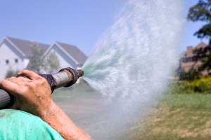 Hydroseeding: How Much It Costs and What to Expect