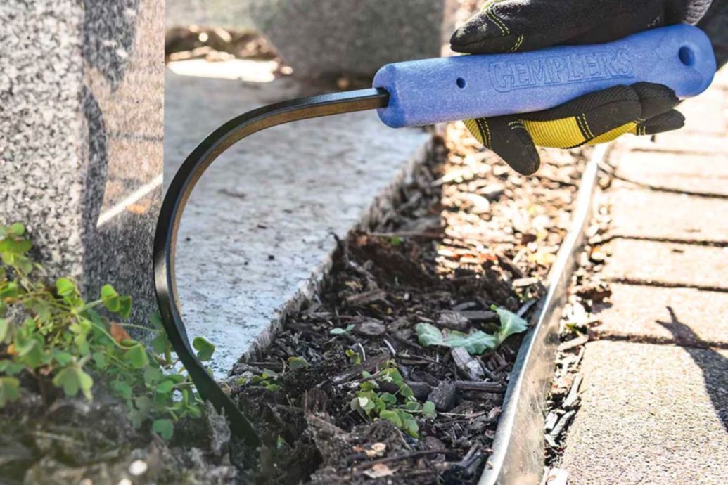 The 8 Best Online Garden Stores - Bob Vila