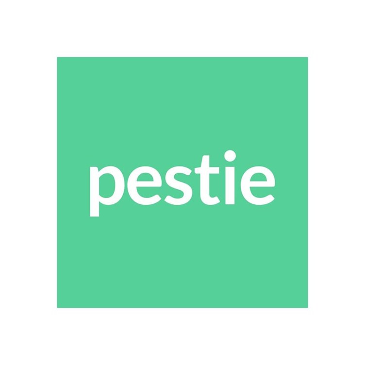 The 3 Best DIY Pest Control Subscription Services