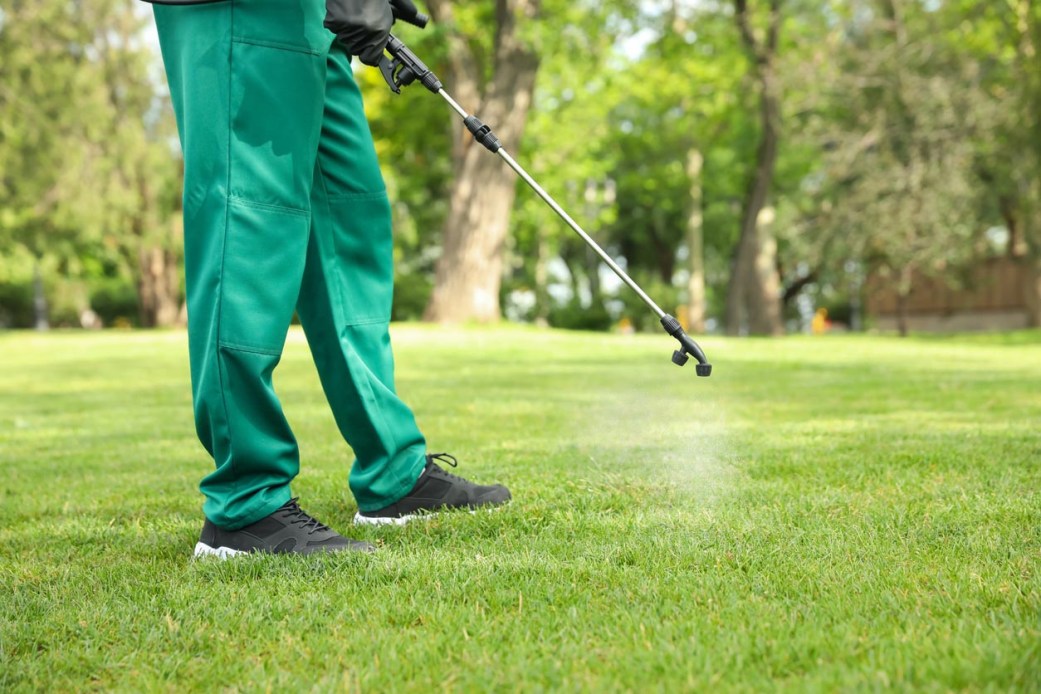 The 3 Best DIY Pest Control Subscription Services