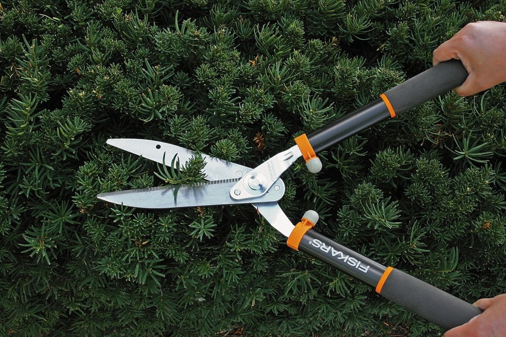The Best Hedge Shears, According to Testing