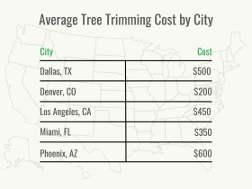 How Much Does Tree Trimming Cost? These Are the Main Factors
