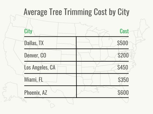 How Much Does Tree Trimming Cost? These Are the Main Factors