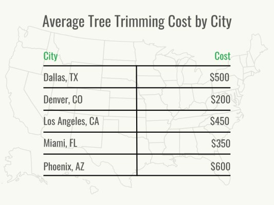How Much Does Tree Trimming Cost? These Are the Main Factors