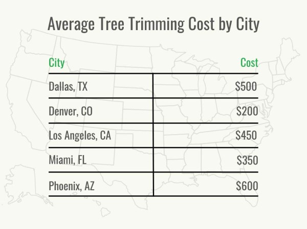 How Much Does Tree Trimming Cost? These Are the Main Factors