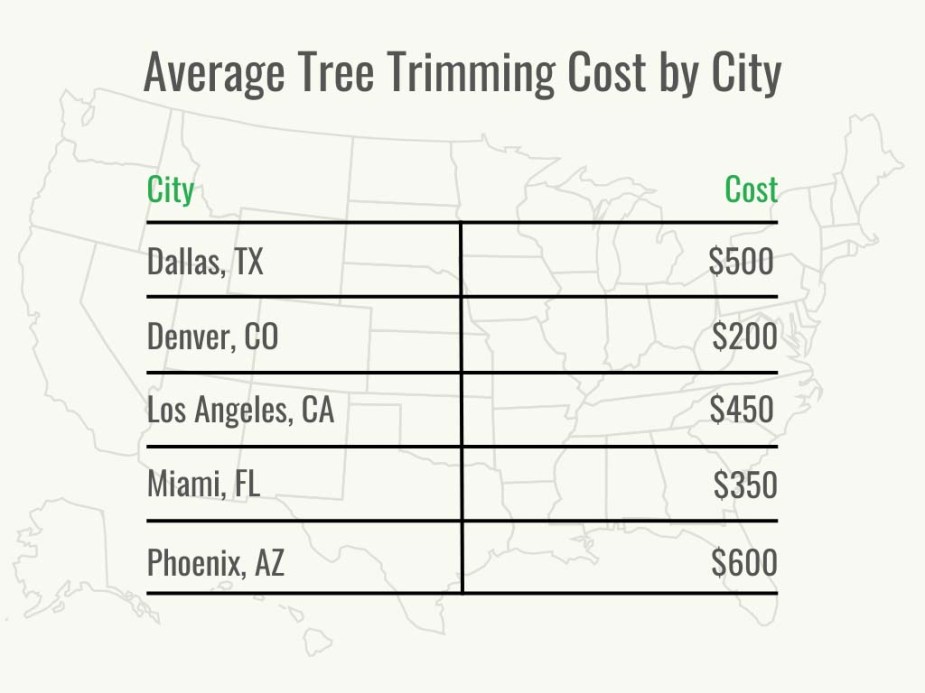 How Much Does Tree Trimming Cost? These Are the Main Factors