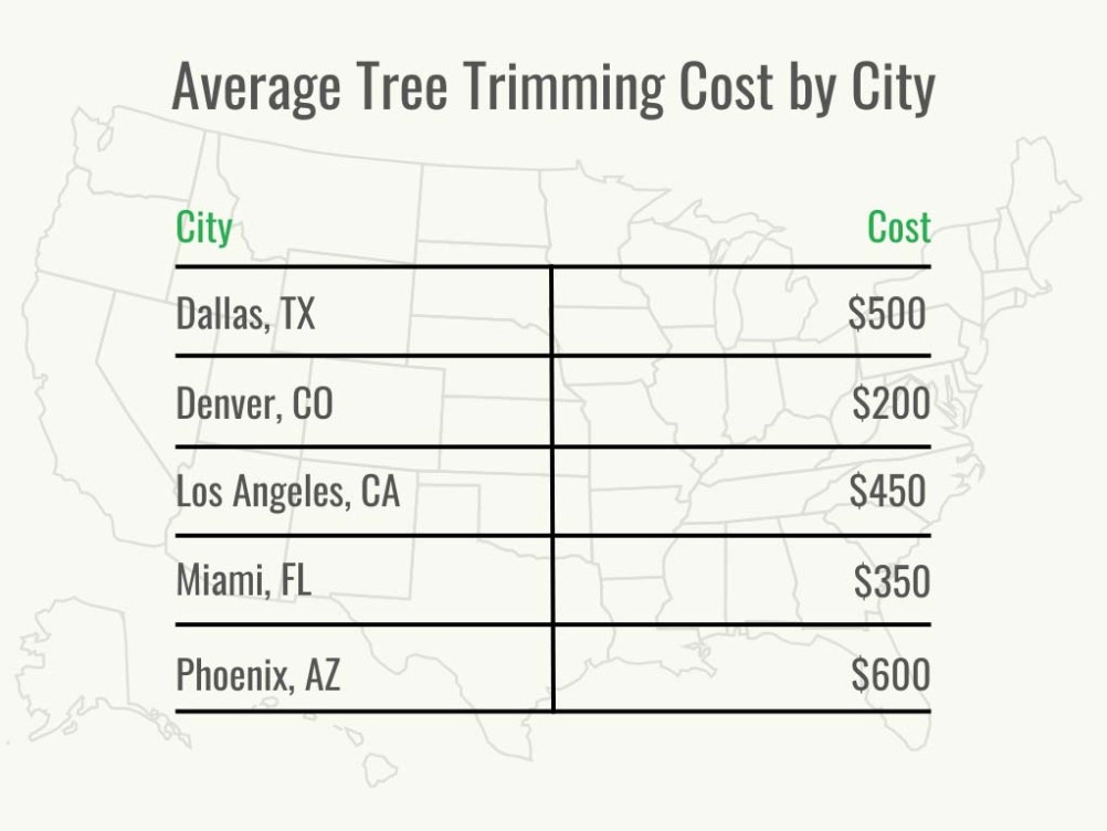 How Much Does Tree Trimming Cost? These Are the Main Factors