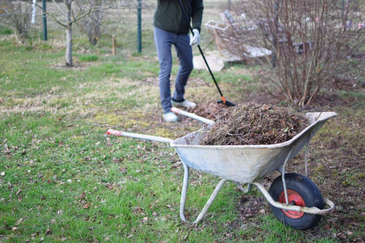 How Much Does Shrub and Bush Removal Cost? - Bob Vila