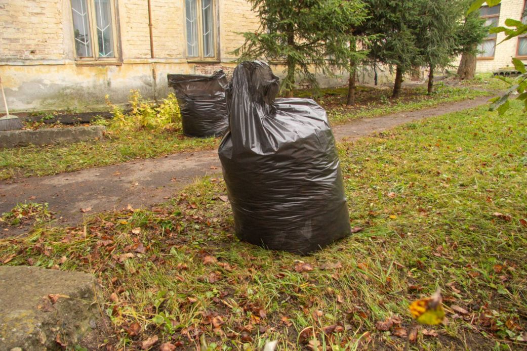 How Much Does Shrub and Bush Removal Cost? - Bob Vila