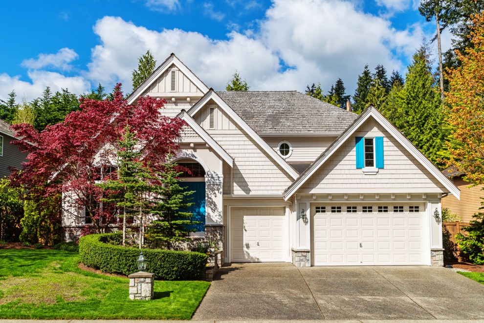 The 12 Best Trees for Front Yard Landscaping - Bob Vila