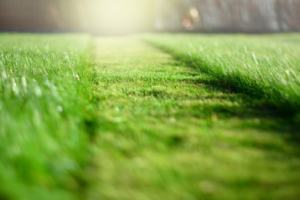 Solved! This Is the Best Time to Mow the Lawn - Bob Vila