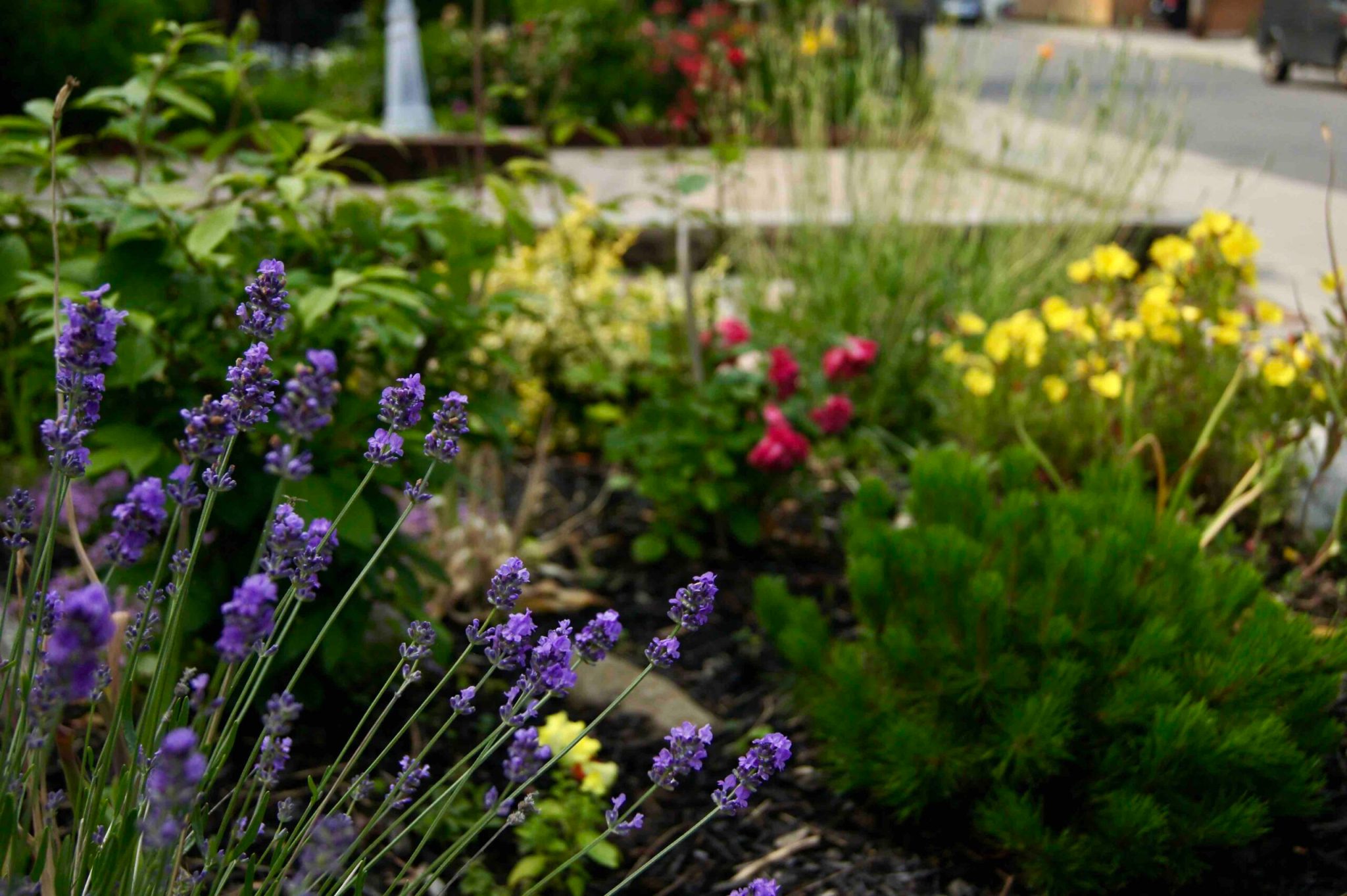 Perennial Garden Ideas for an Ever-Blooming Flower Garden - Bob Vila