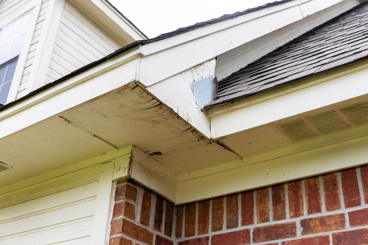 Termite Damage vs. Wood Rot: How To Know What's Causing Damage