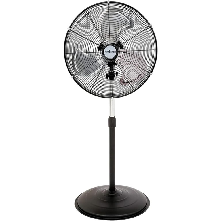 The Best Oscillating Fans (Top Picks)