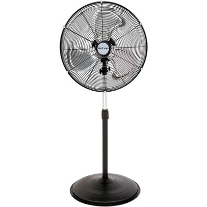 The Best Oscillating Fans (2024 Review)