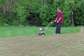 7 Grass Problems That Are Keeping You From Having the Yard You Want