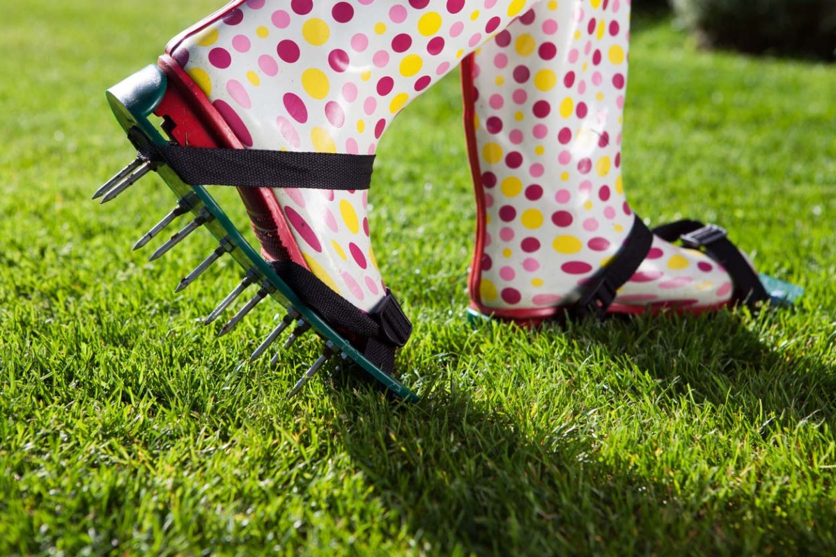Solved! How to Treat a Drought-Stressed Lawn - Bob Vila