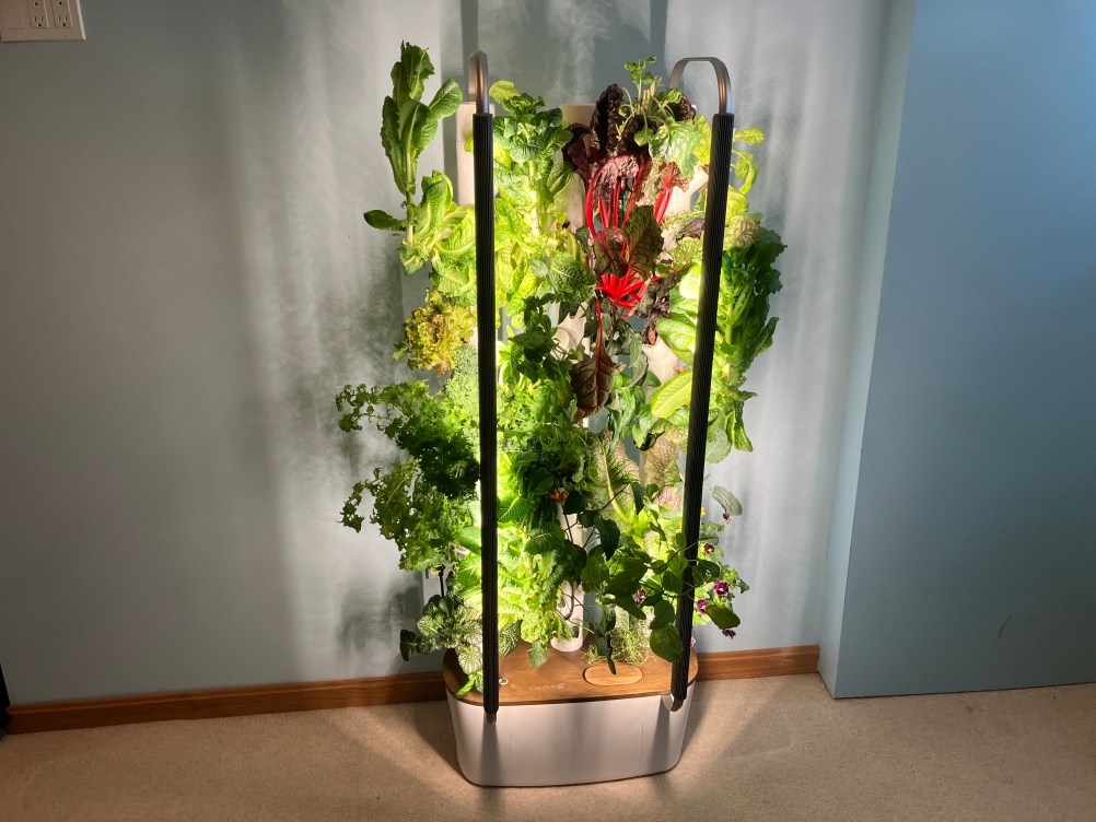 Gardyn Home Kit 3.0 | Our Review After 6 Months of Testing